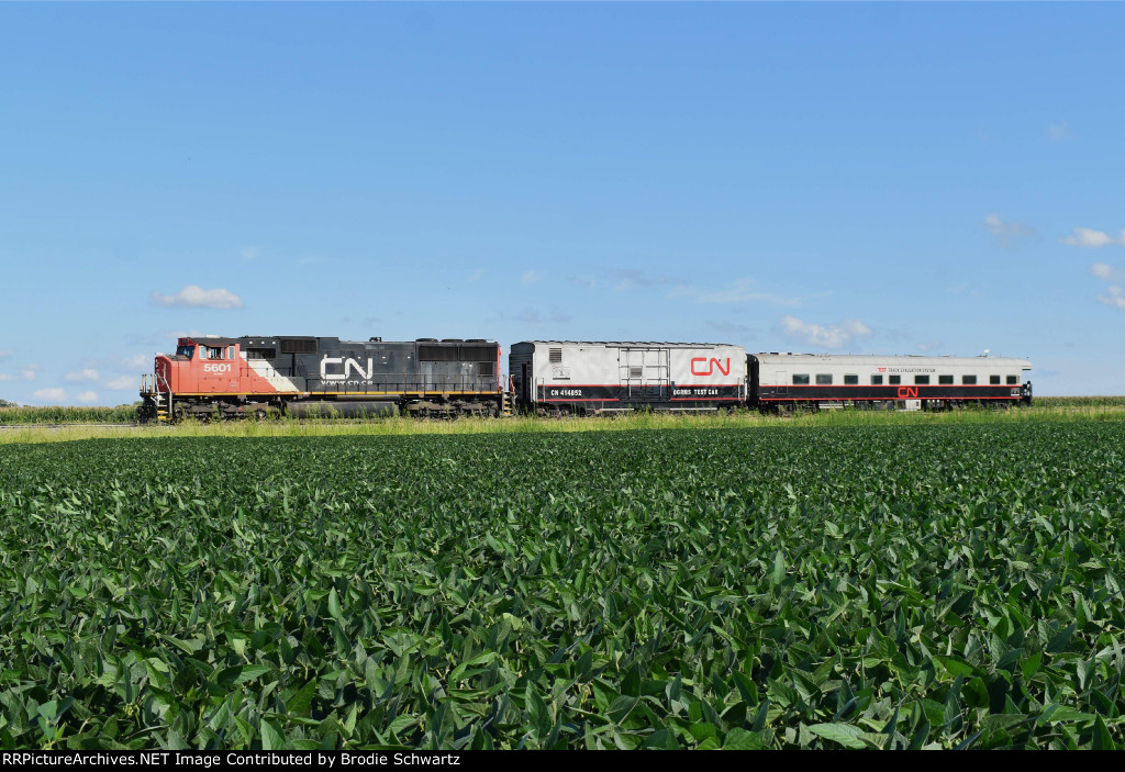 CN 5601